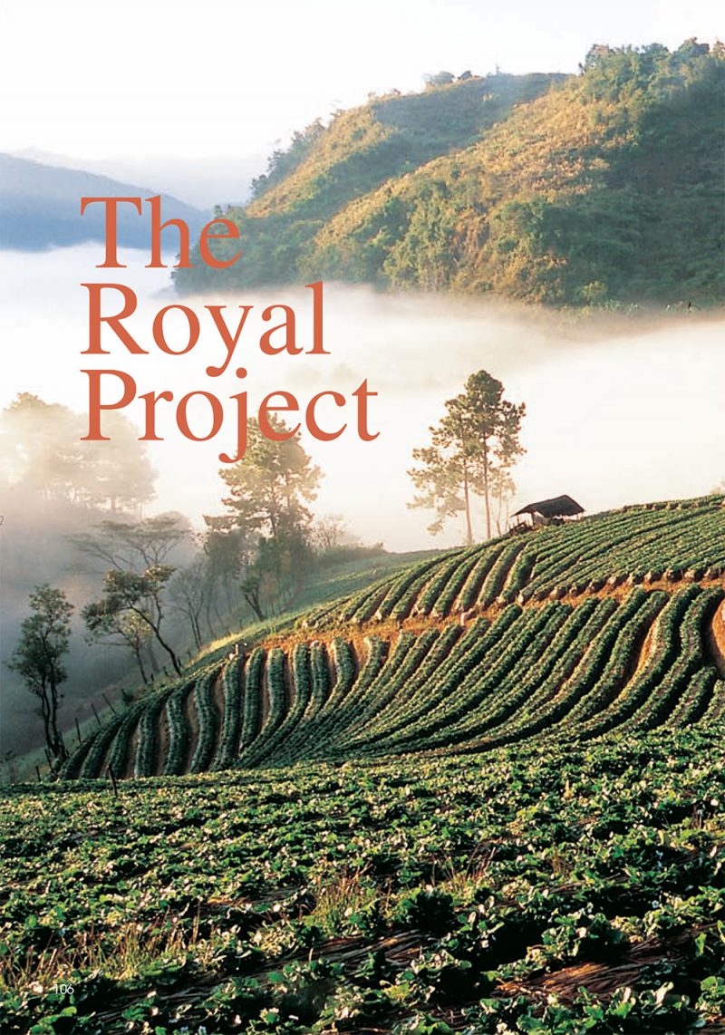 Royal Activities-The Royal Project – มูลนิธิเสริมสร้างเอกลักษณ์ของชาติ